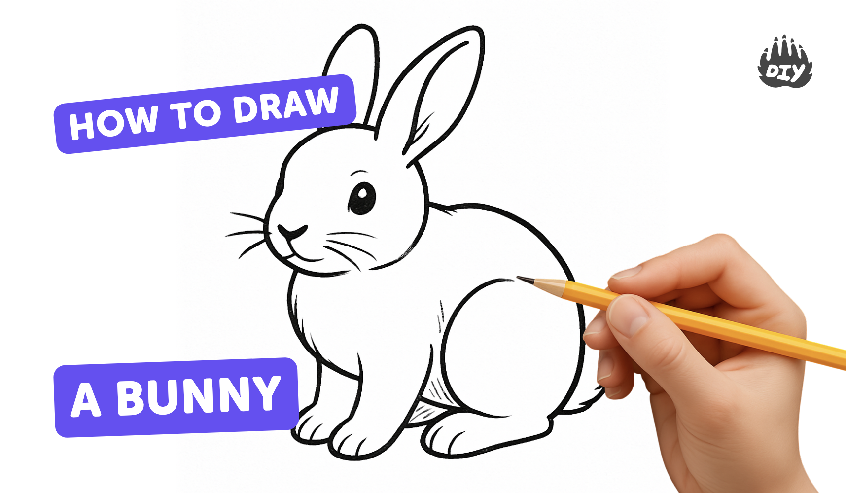 Bunny Drawing Easy